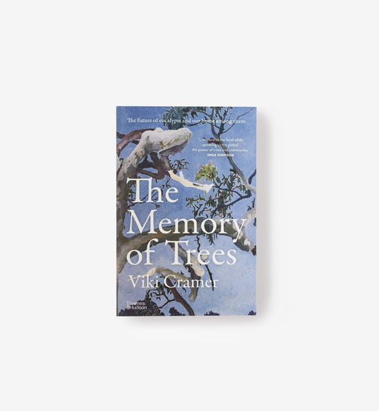 The Memory of Trees | Mr Kitly