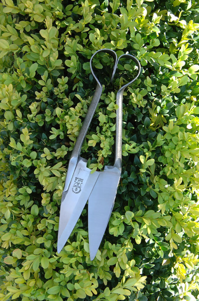 RHS Professional Soft Squeeze Shears | Mr Kitly
