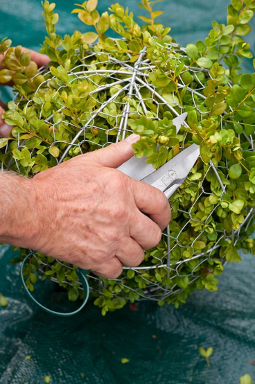 RHS Professional Soft Squeeze Shears | Mr Kitly